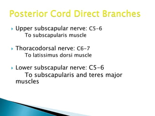 Brachial plexus ppt by dr. mittal lohar | PPT