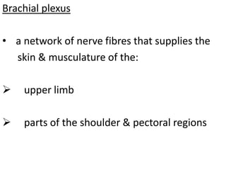 BRACHIAL PLEXUS PRESENTATION_050916.pptx