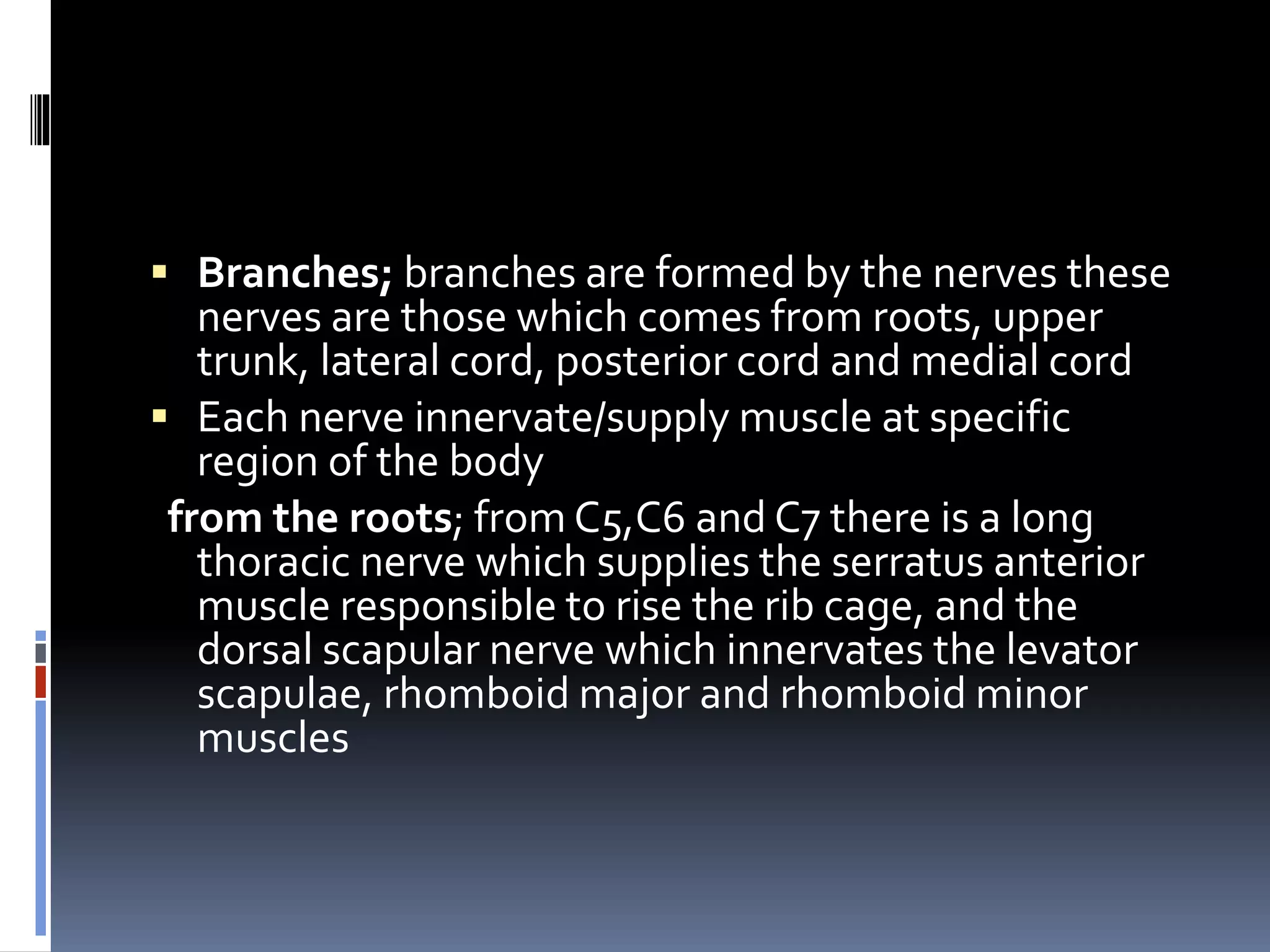 Brachial plexus summary | PPTX | Death, Injury, or Military Conflict | Sensitive Topics