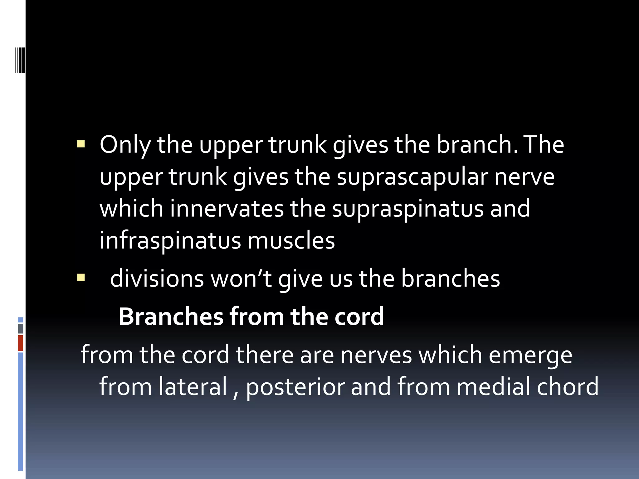 Brachial plexus summary | PPTX | Death, Injury, or Military Conflict | Sensitive Topics