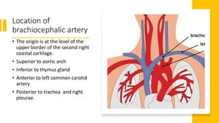 Brachiocephalic Artery