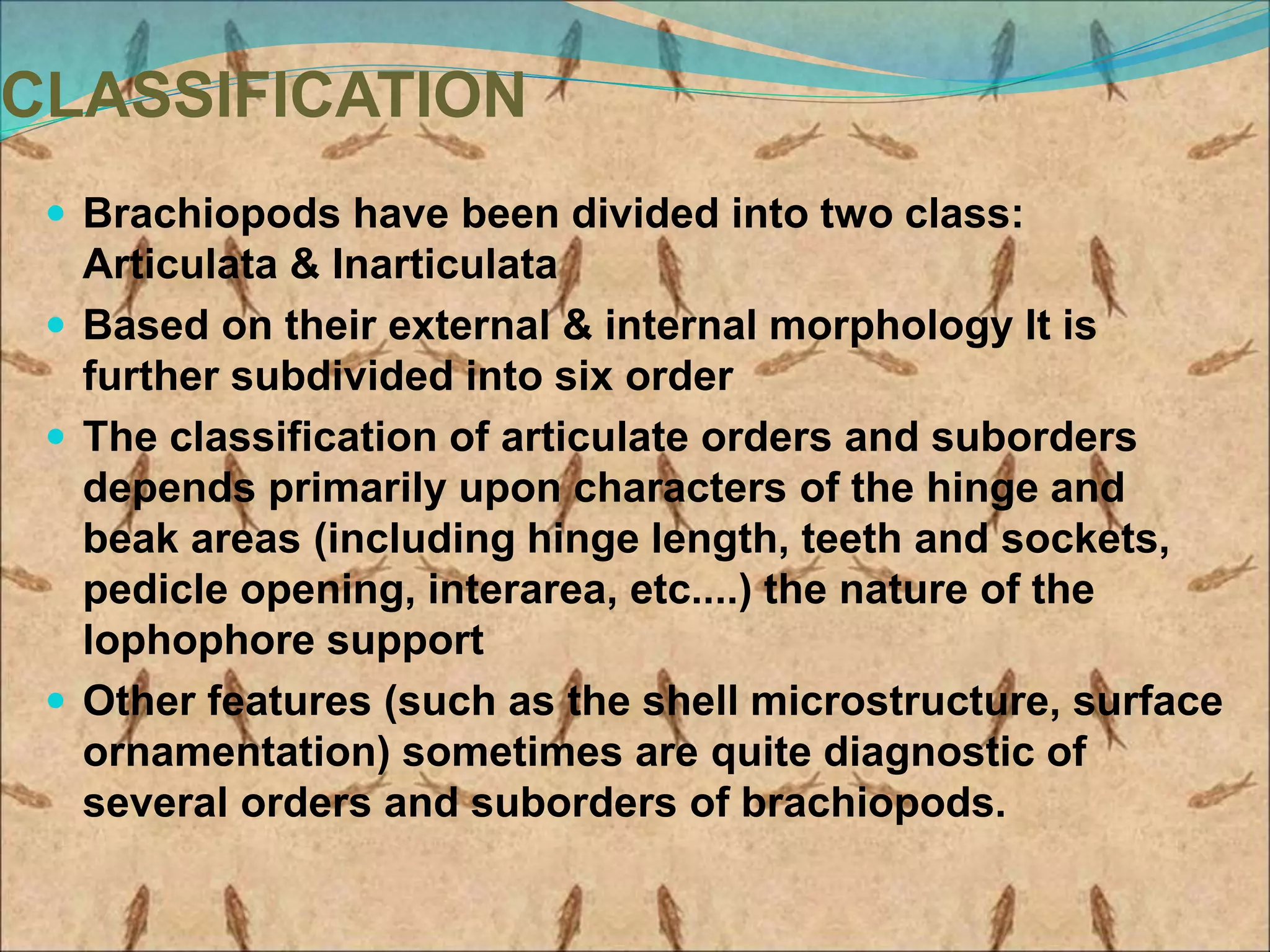 Brachiopods by Paras khati.ppt