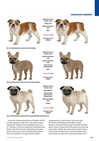 Brachycephalic_obstructive_air_compressed.pdf