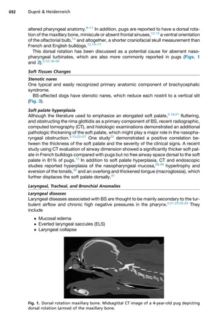 Brachycephalic Syndrome.pdf