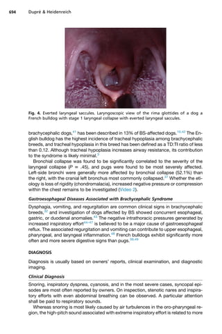 Brachycephalic Syndrome.pdf