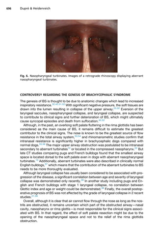 Brachycephalic Syndrome.pdf