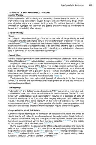 Brachycephalic Syndrome.pdf