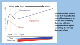 Basics And Physics of Brachytherapy | PPTX