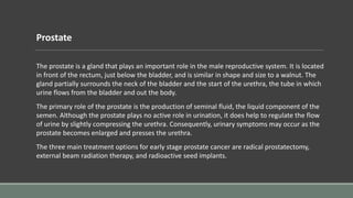 Brachytherapy permanent seed implant | PPTX