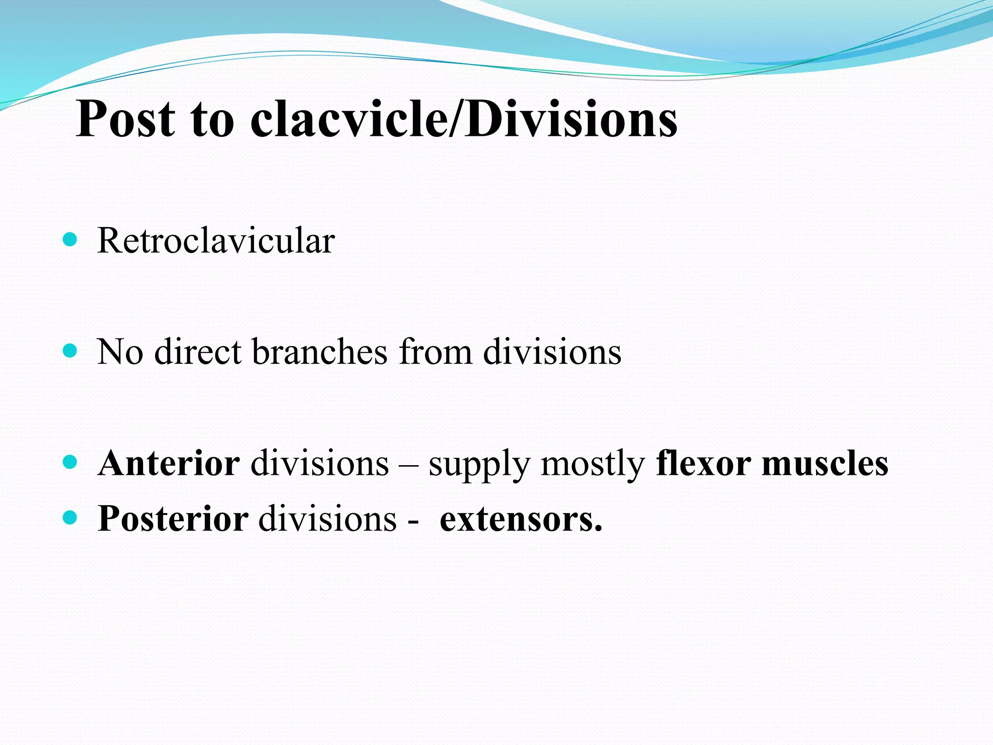 Bracial plexus injury localization and management | PPTX