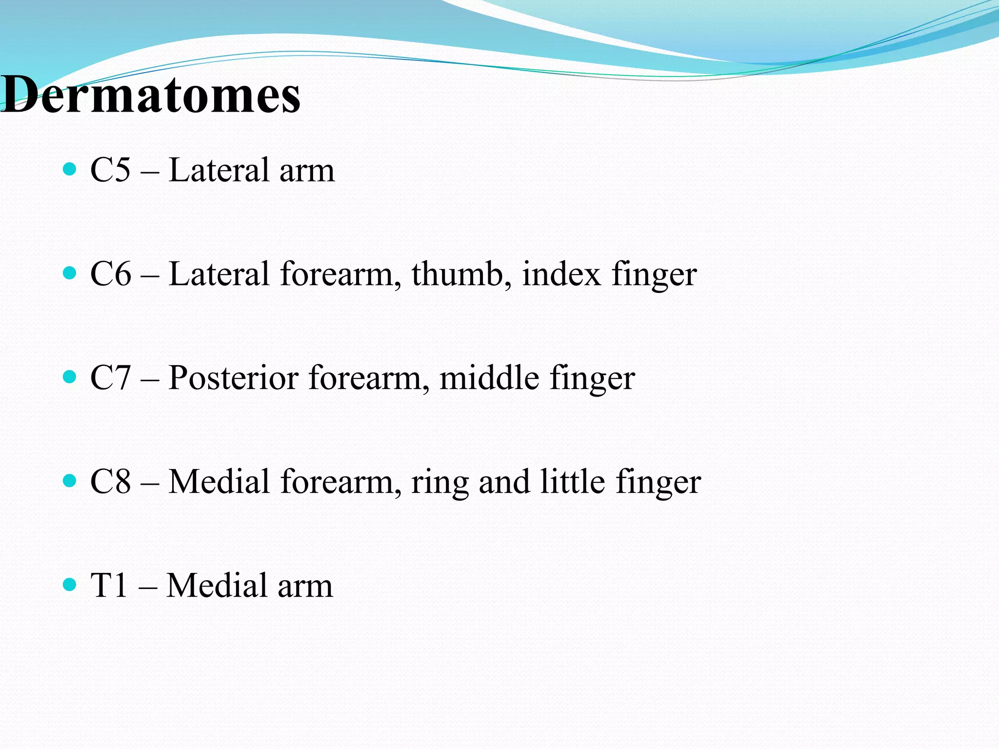 Bracial plexus injury localization and management | PPTX