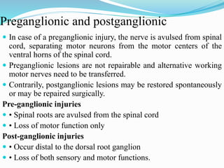 Bracial plexus injury localization and management | PPT