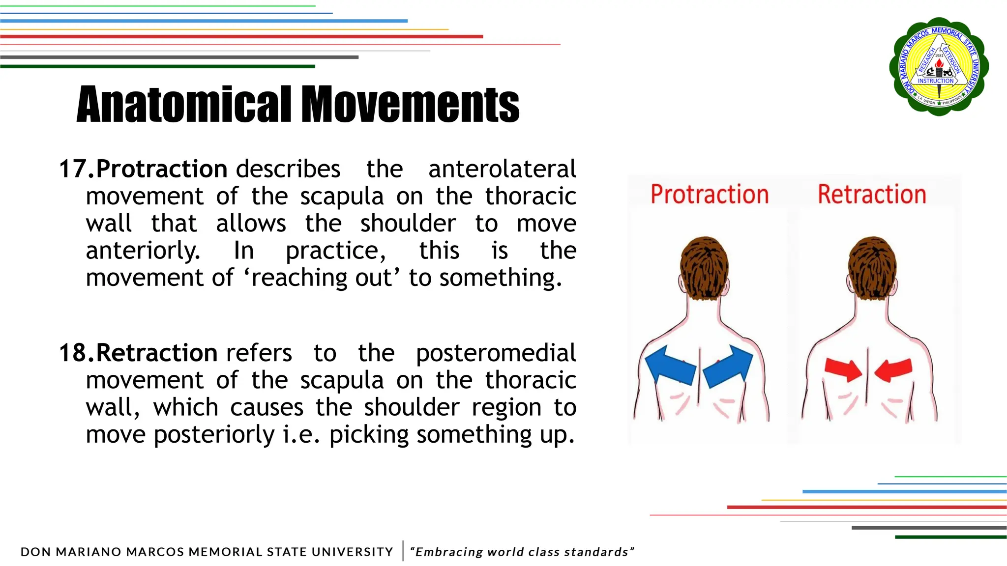 bracing-breating-anatomical-movements.pptx