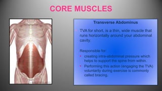 BRACING THE CORE PPT.ppt