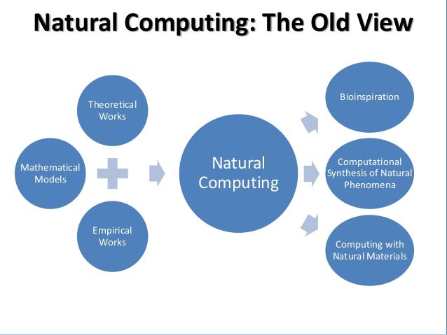 2012: Natural Computing - The Grand Challenges and Two Case Studies