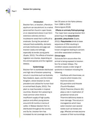 Bracken fern poisoning | PDF