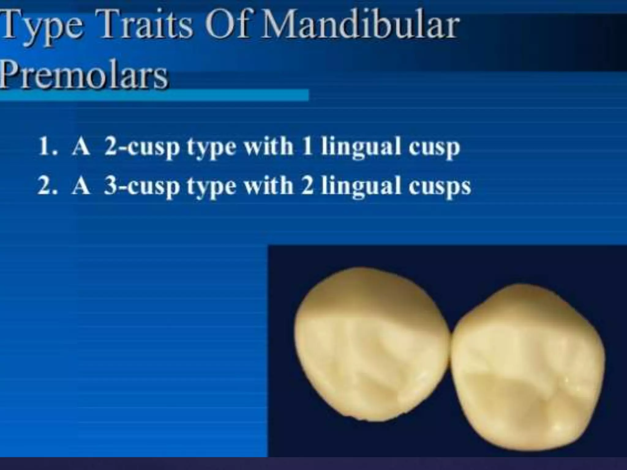 placement of orthodontic brackets | PPTX