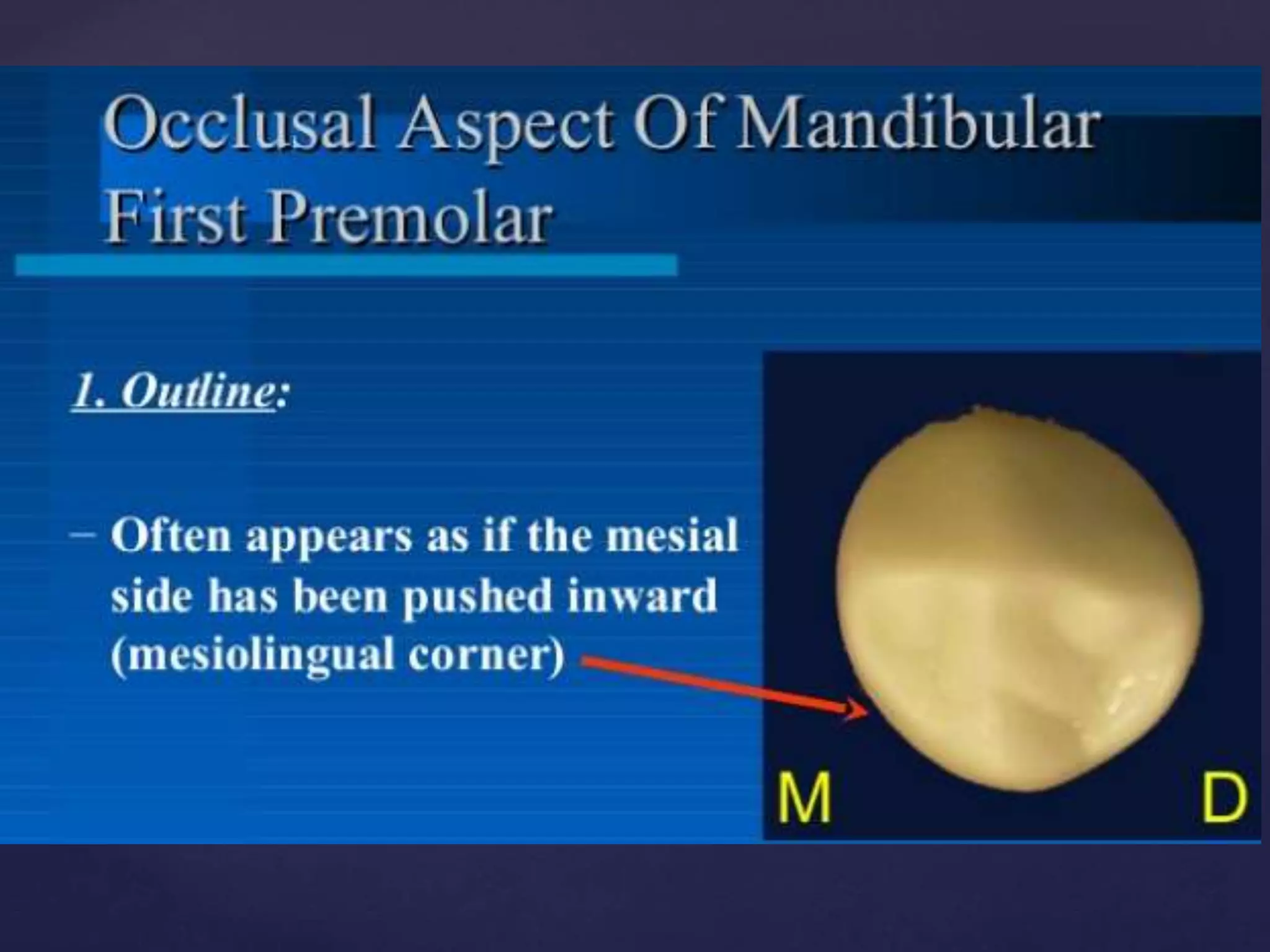 placement of orthodontic brackets | PPTX