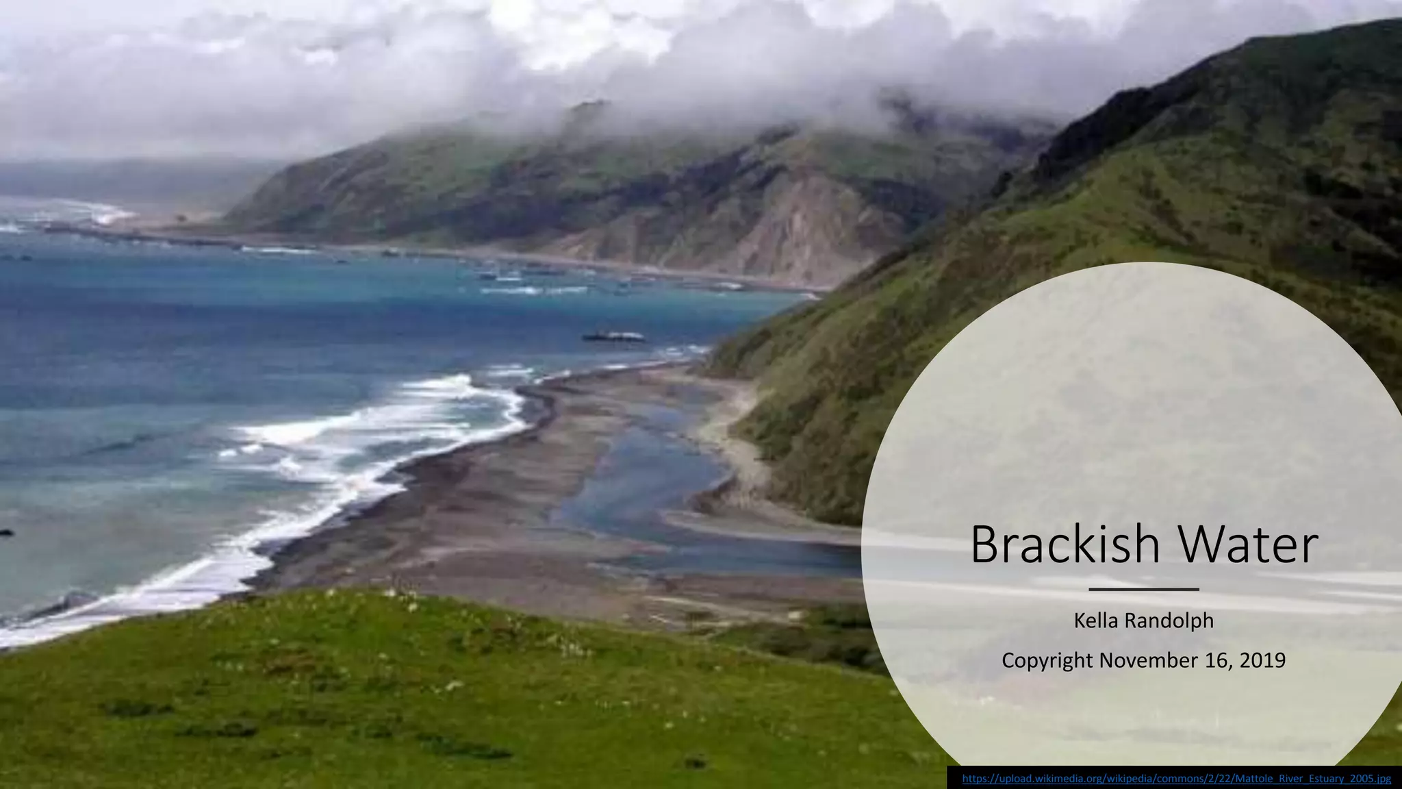 Brackish water | PPTX