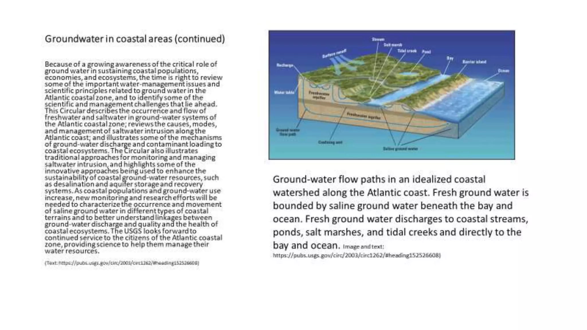Brackish water | PPTX