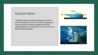 Brackish water | PPTX