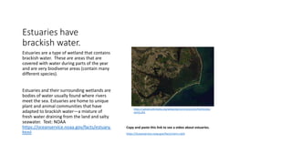 Brackish water | PPTX