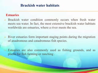 Brackish water uses in agriculture | PPTX
