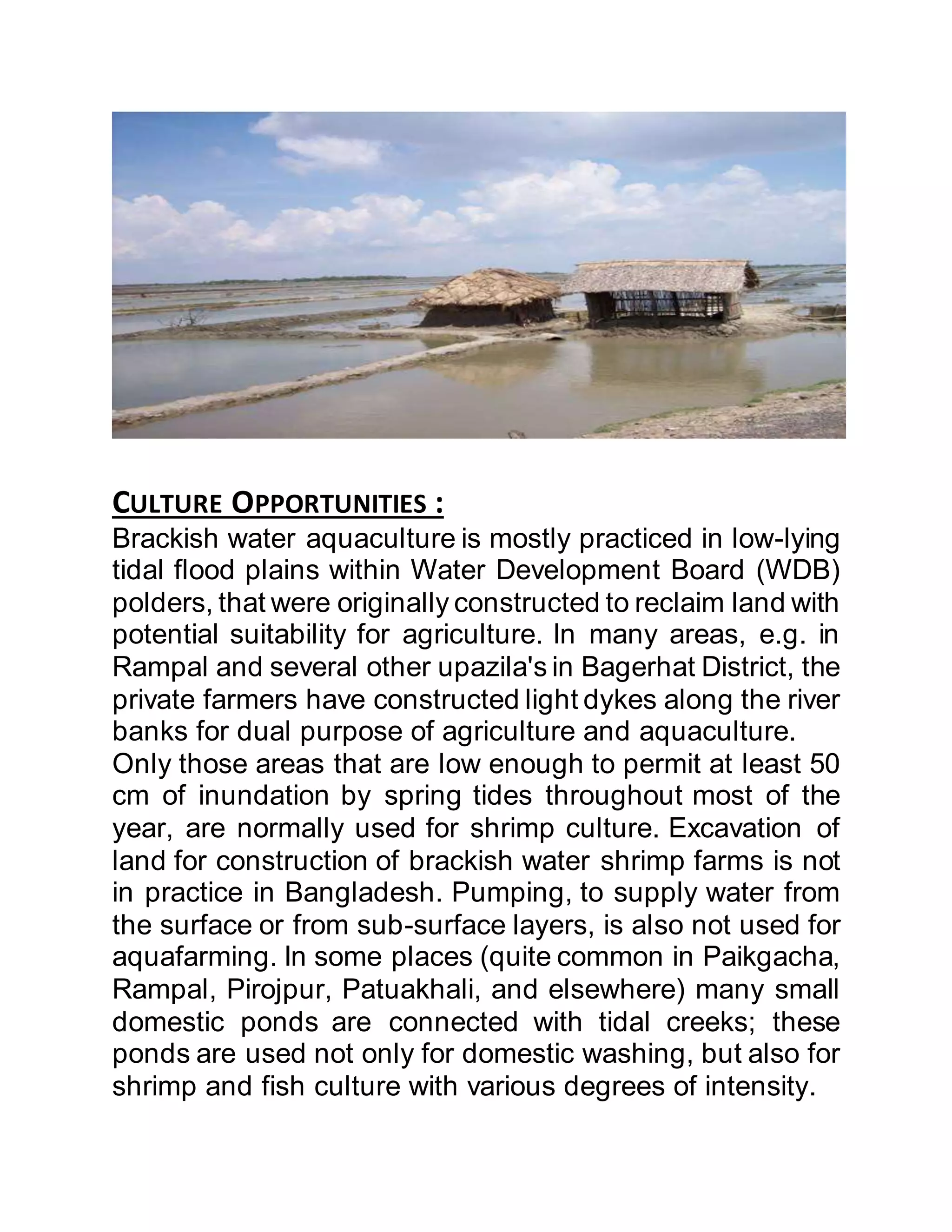 brackish water and mangrove environment in Bangladesh | DOCX