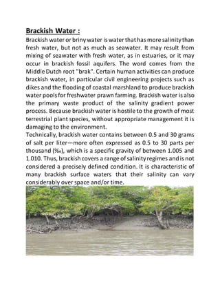 brackish water and mangrove environment in Bangladesh | DOCX