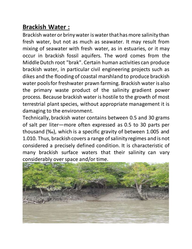 brackish water and mangrove environment in Bangladesh | DOCX | Zoos ...