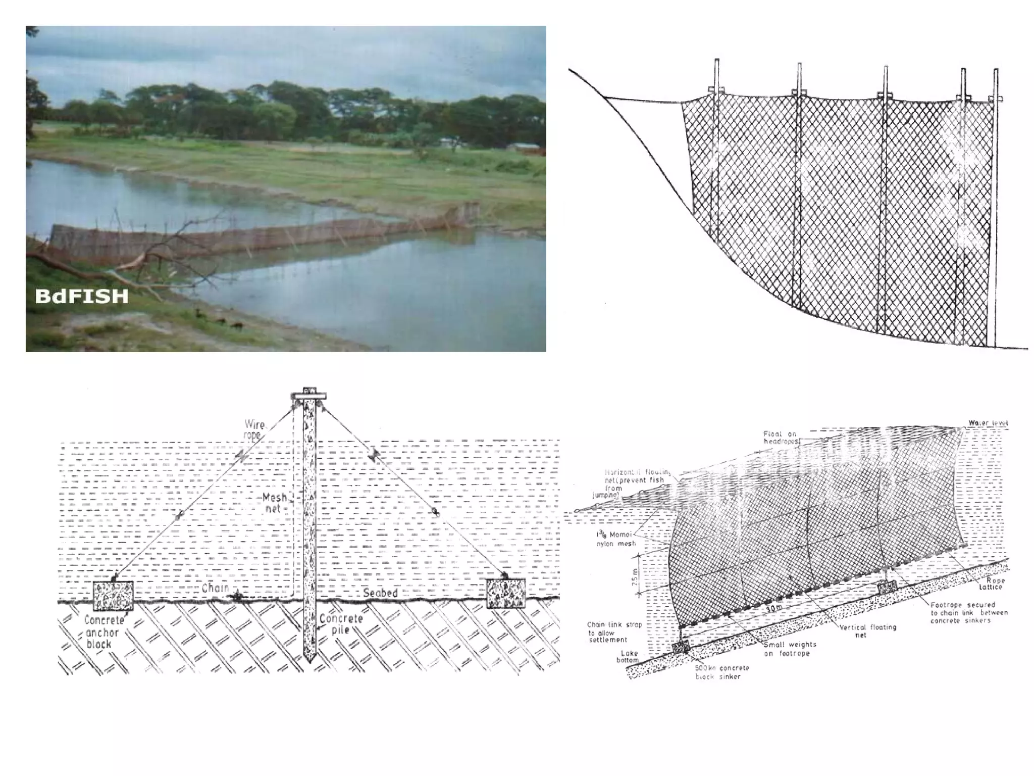 Brackish water aquaculture 007 | PPT