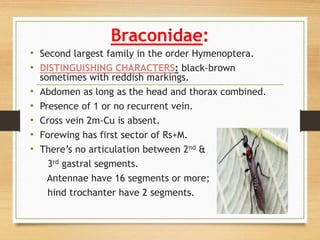 Braconidae, Chalcididae & Bethylidae.pptx
