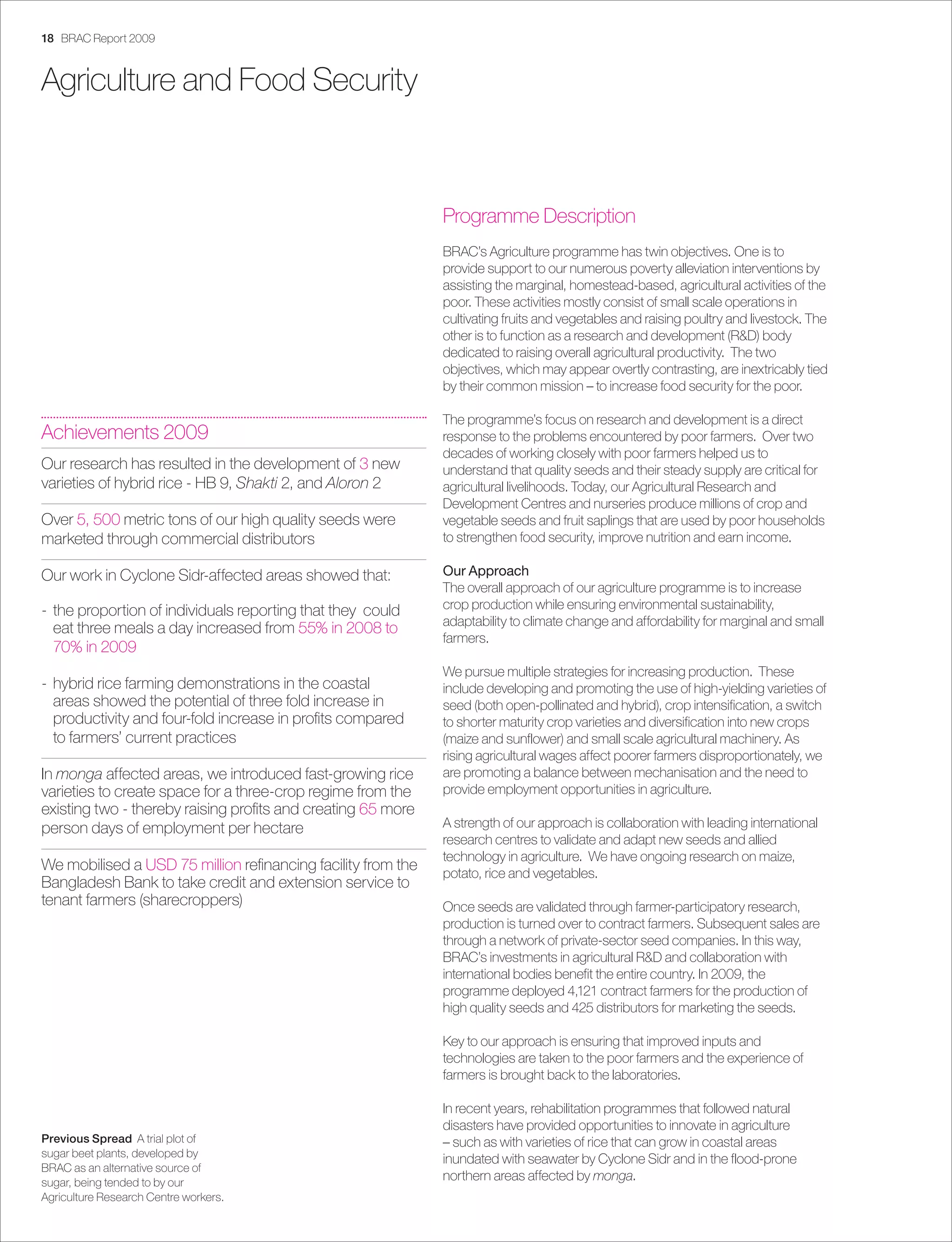 BRAC Report 2009 | PDF