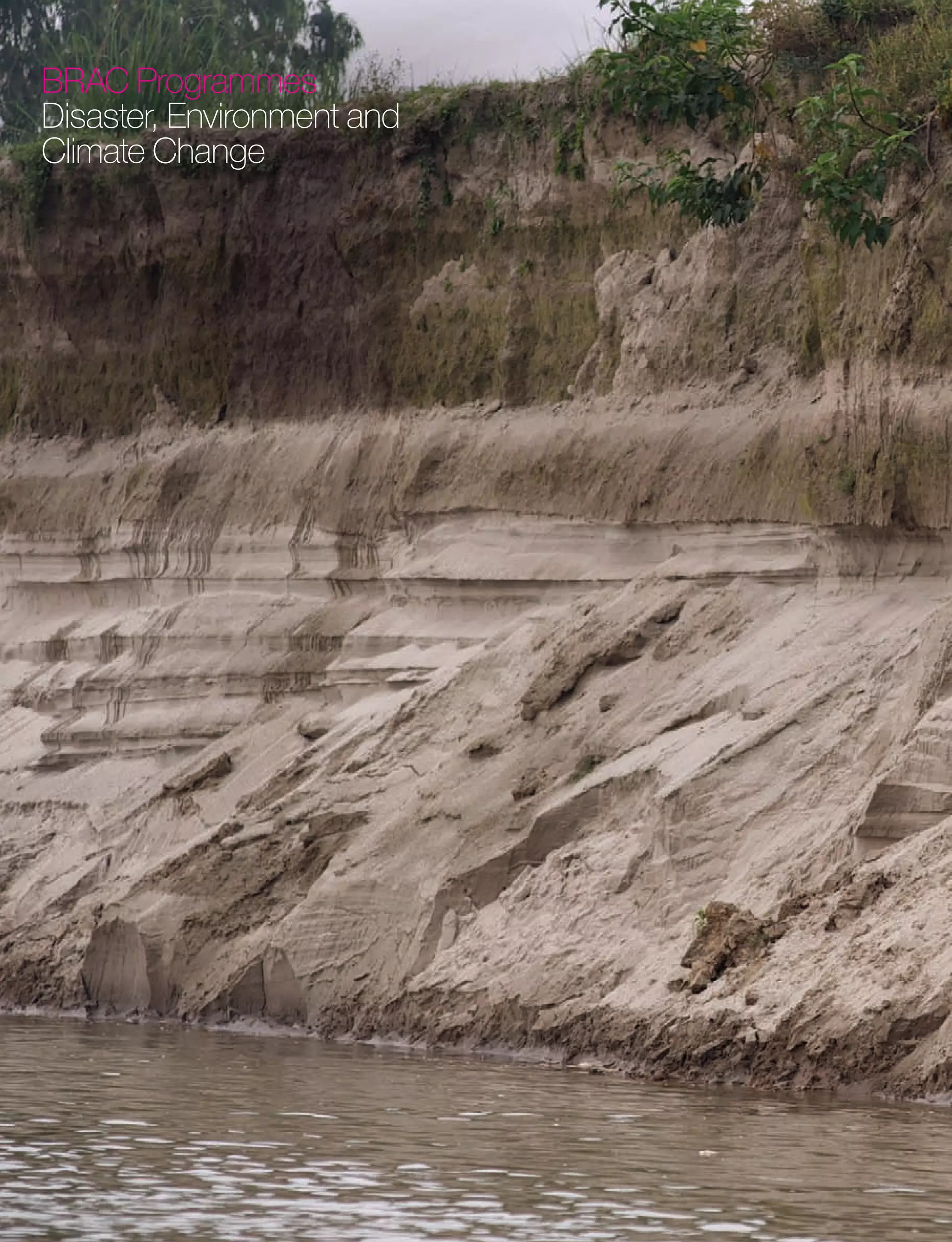 BRAC Report 2009 | PDF