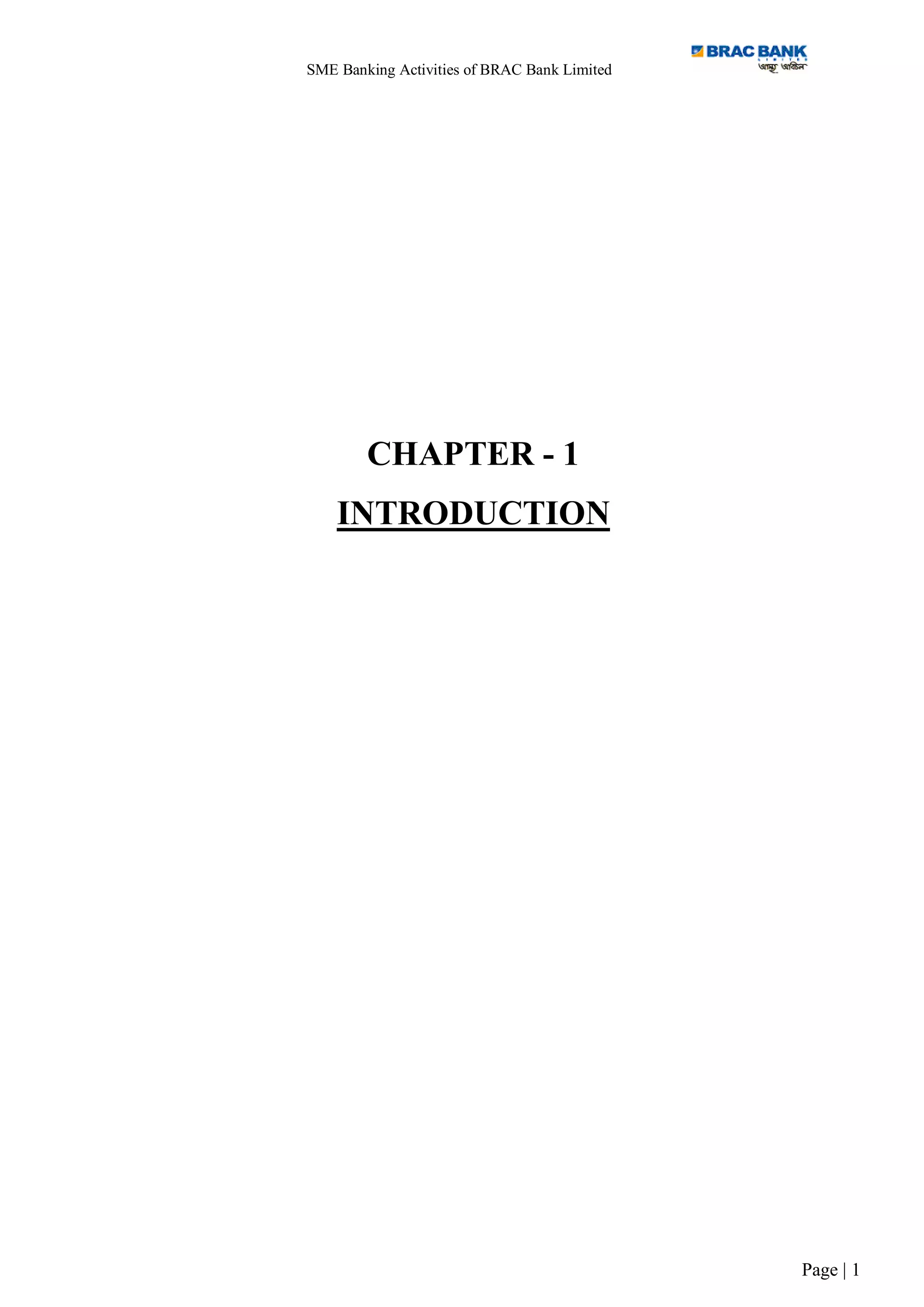 Brac sme banking activitis main body | PDF
