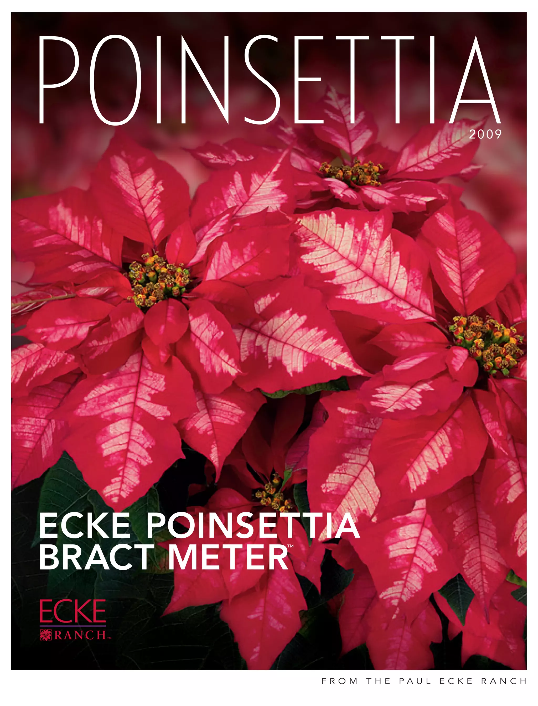 Bract Meter Poster | PDF