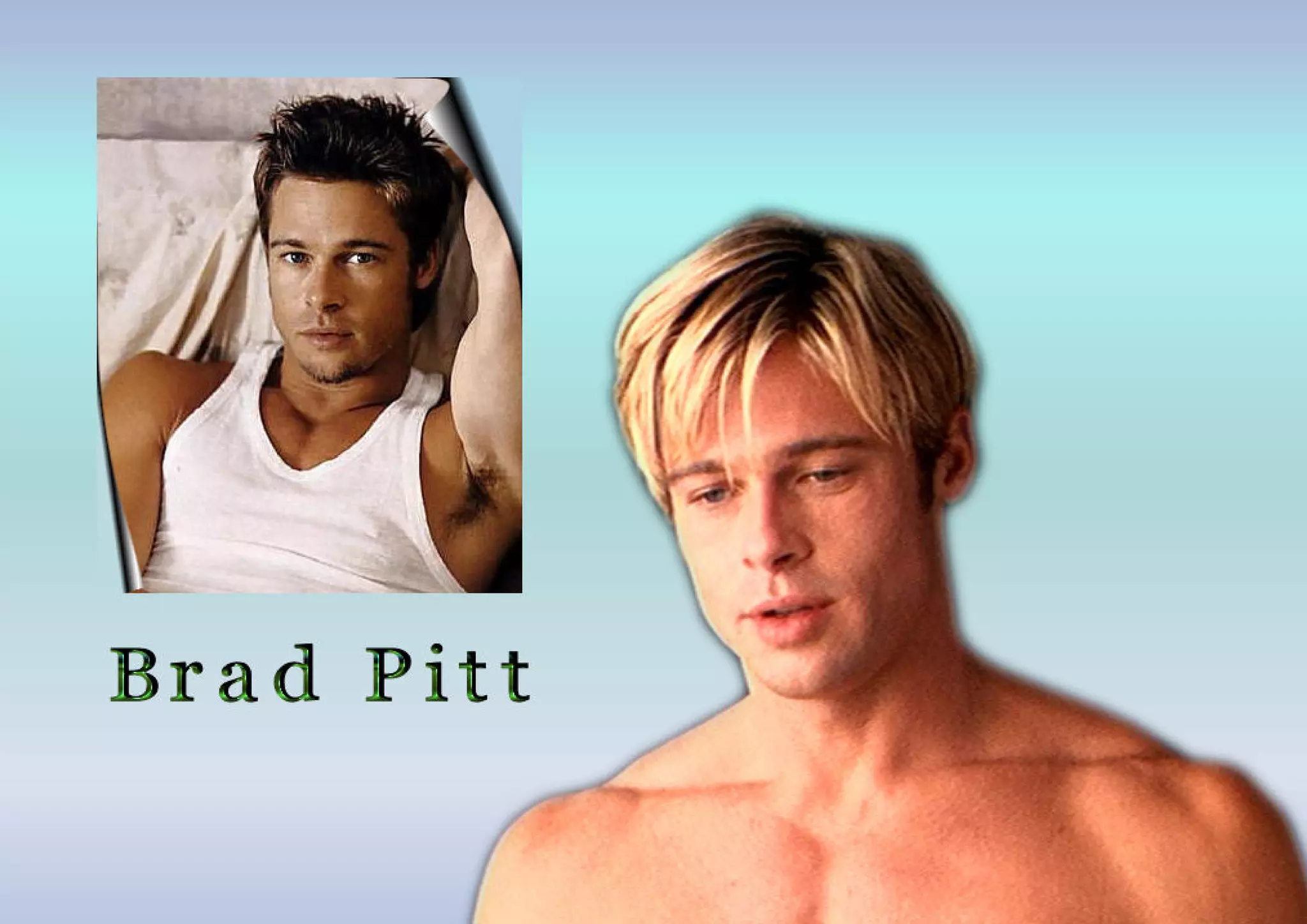 Brad Pitt is Hot | PDF