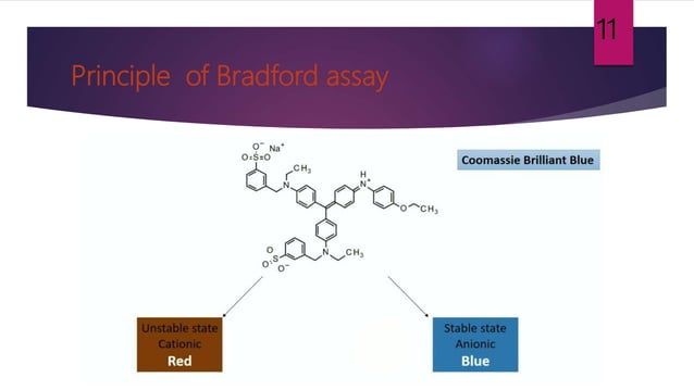 Bradford assay | PPTX