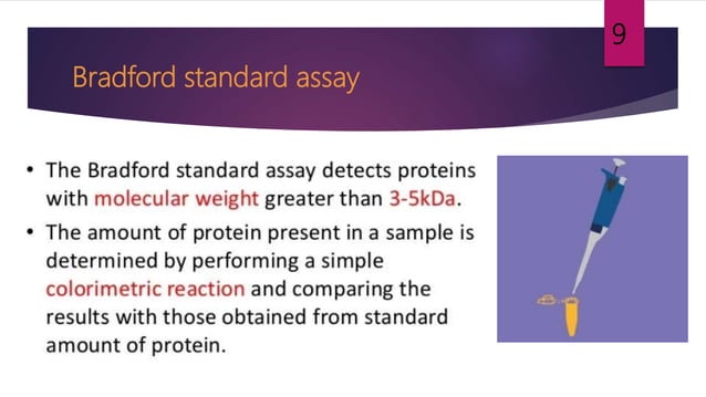 Bradford assay | PPT