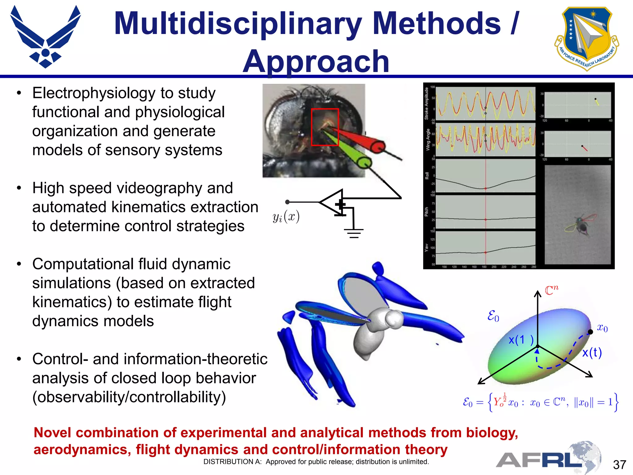 Bradshaw - Sensory Information Systems - Spring Review 2013 | PDF