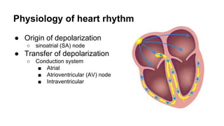 bradyarrhythmias.pdf