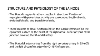 Bradyarrhythmias Sino Atrial node disorders.pptx