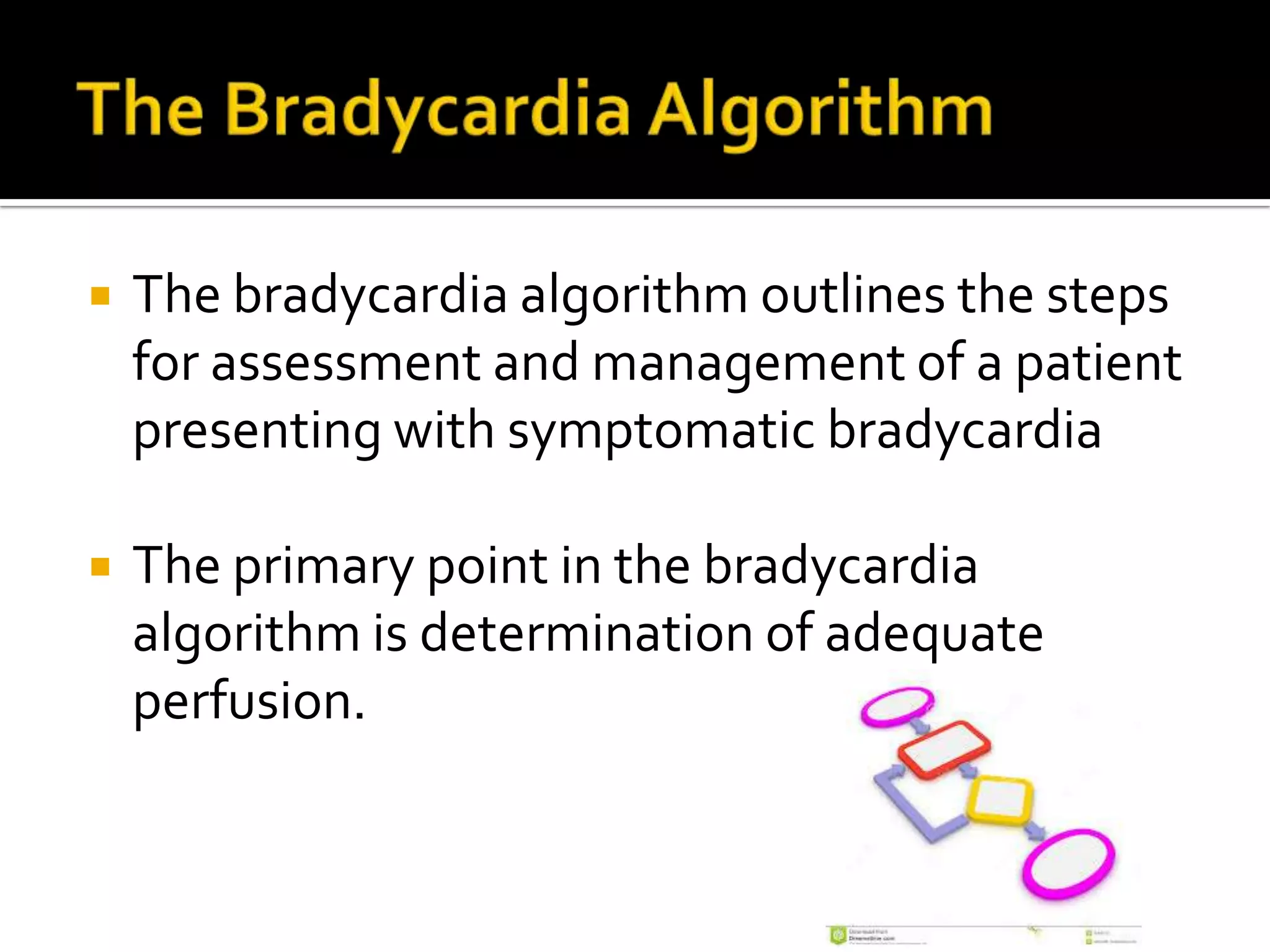 Bradycardia | PPTX