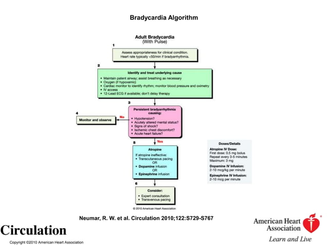 bradycardia.ppt