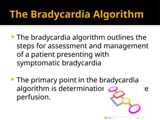 Bradycardia BERT April arrythmia for EMS | PPTX