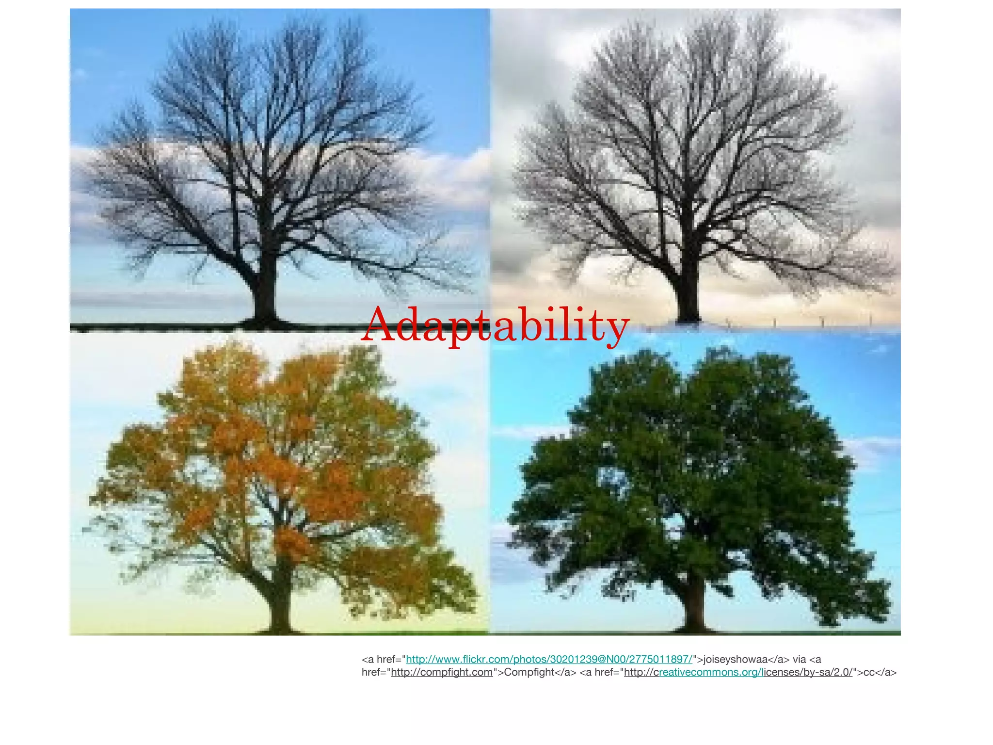 Brady ignite presentation | PPT