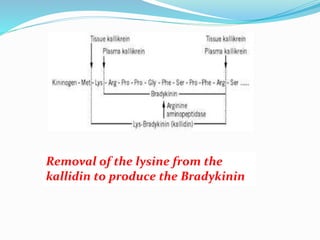 Bradykinin by Raghul Pharmacist | PPTX