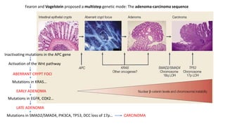 Braf lynch syndrome mmr right and left colon cancer | PPTX