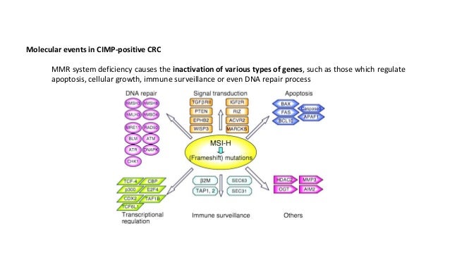 Braf lynch syndrome mmr right and left colon cancer