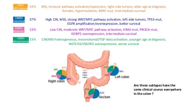 Braf lynch syndrome mmr right and left colon cancer